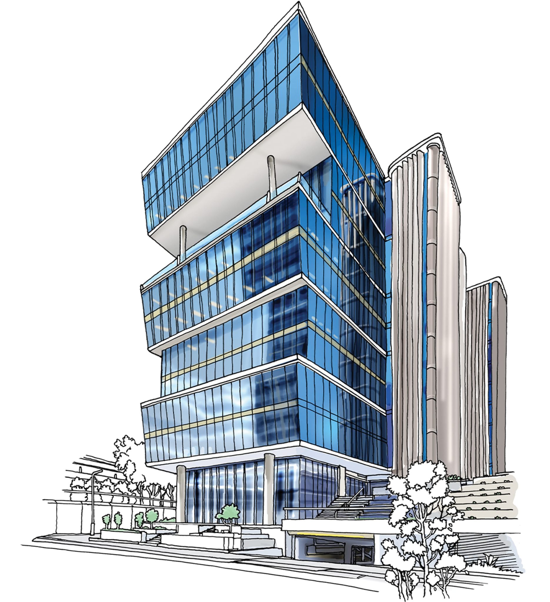 45 Clarence Street | Artifex