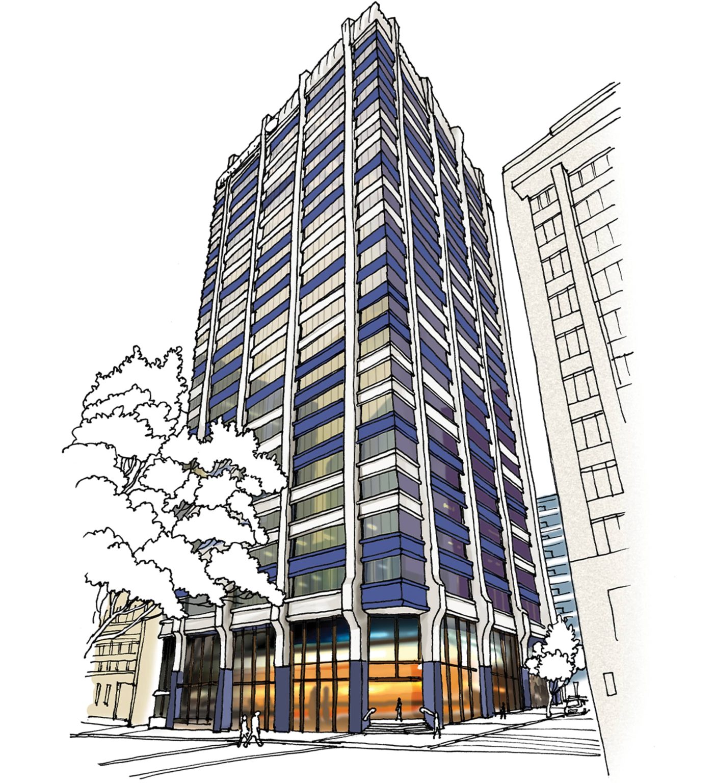 45 Clarence Street | Artifex