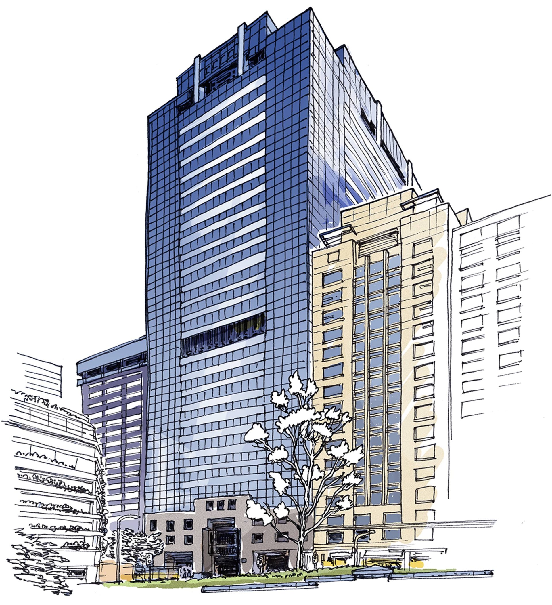 45 Clarence Street | Artifex
